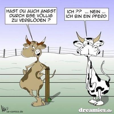 Heute mal tierwitze! :=) - lustich.de
